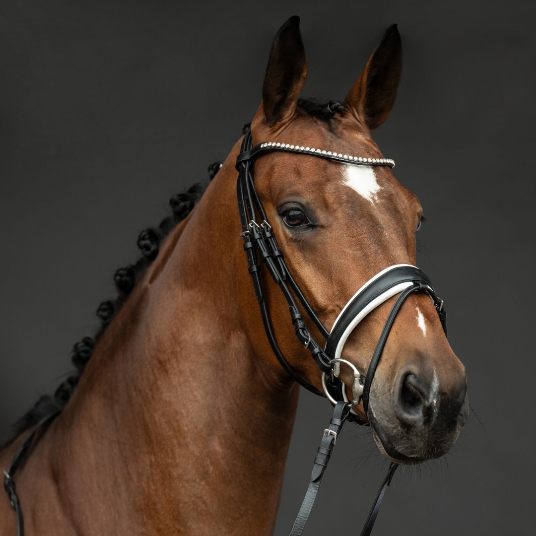 Uzda Flora › Pure Equestrian