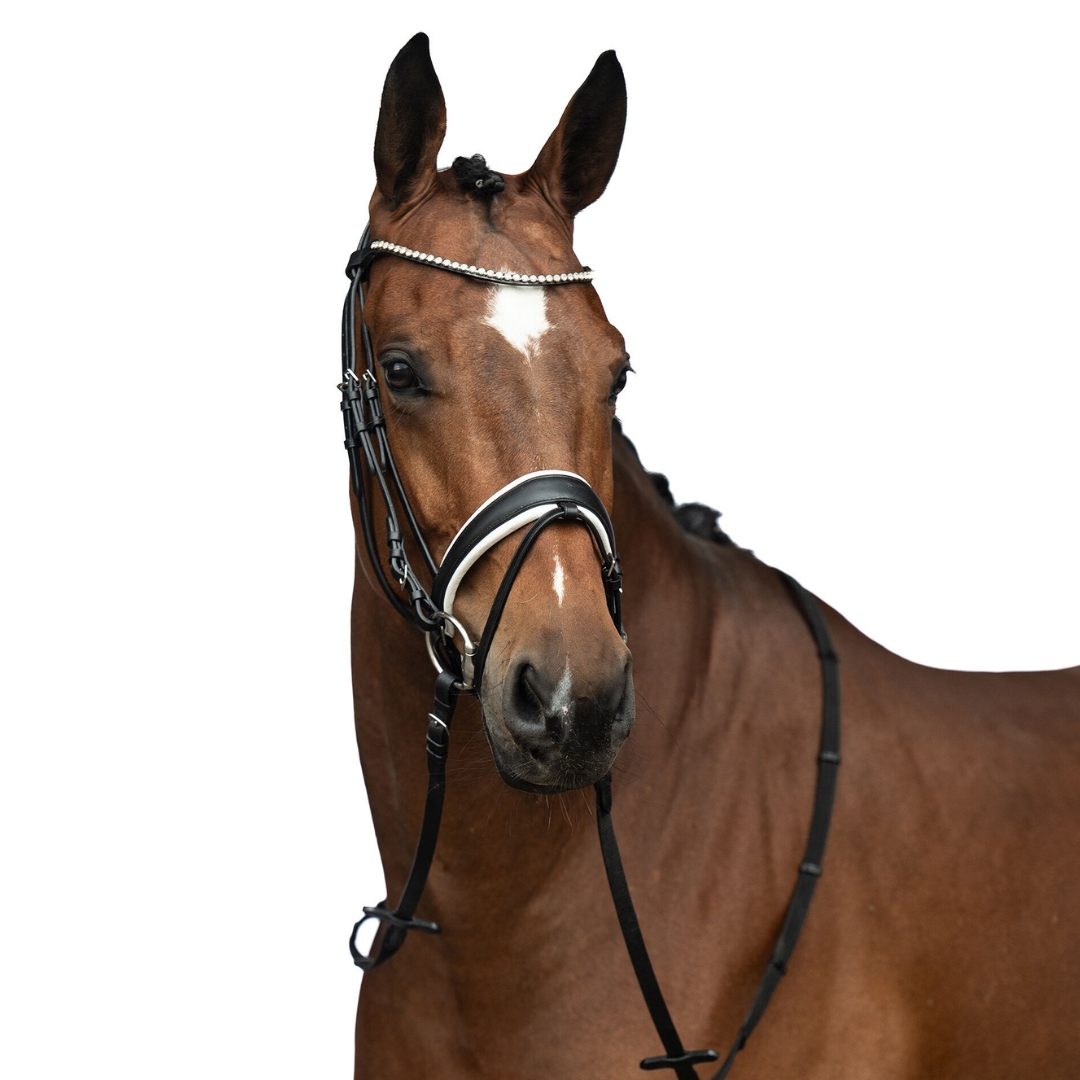 Uzda Flora › Pure Equestrian