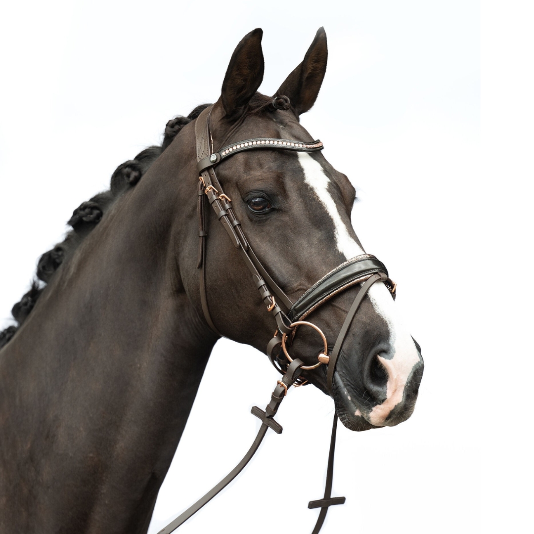Uzda Sofia › Pure Equestrian