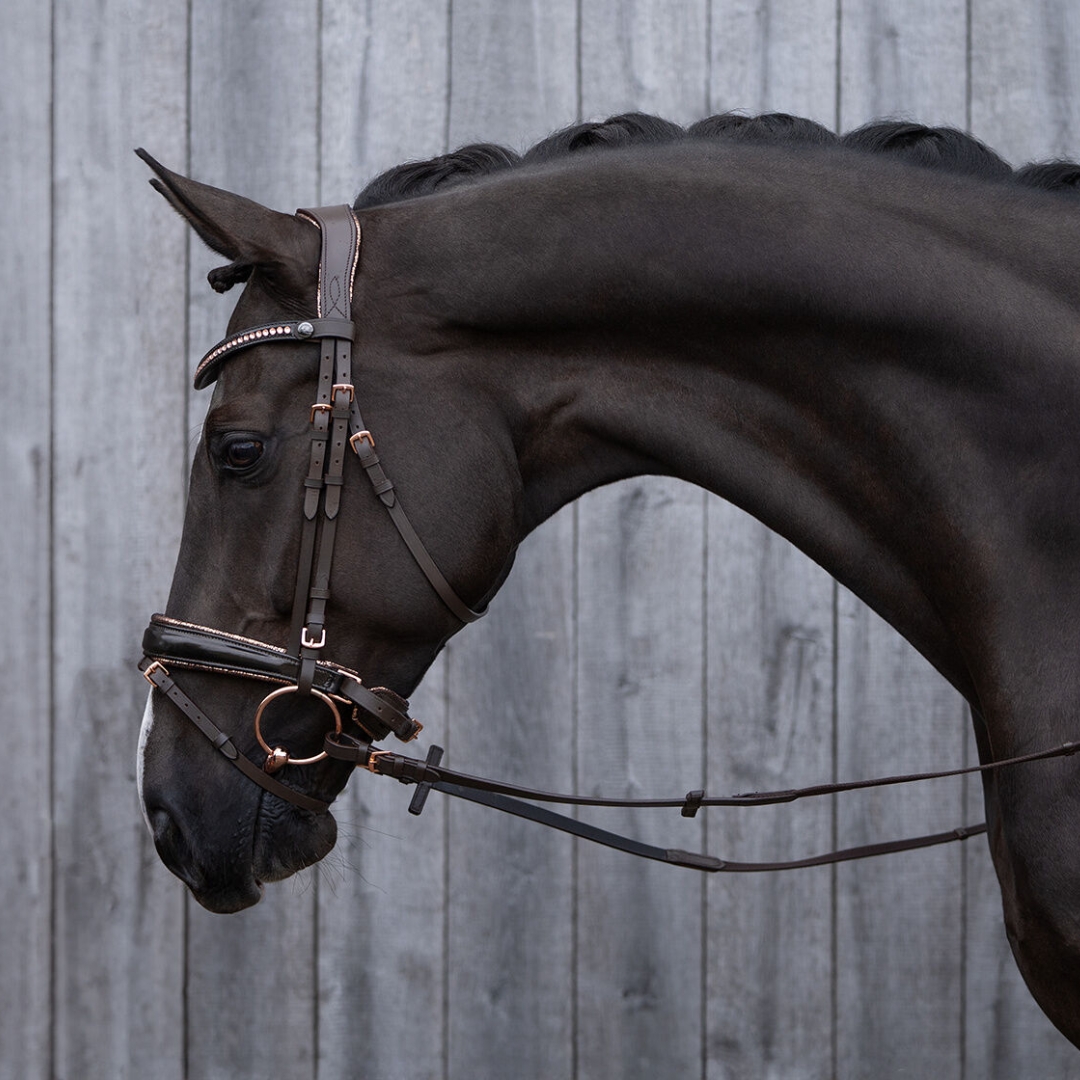 Uzda Sofia › Pure Equestrian