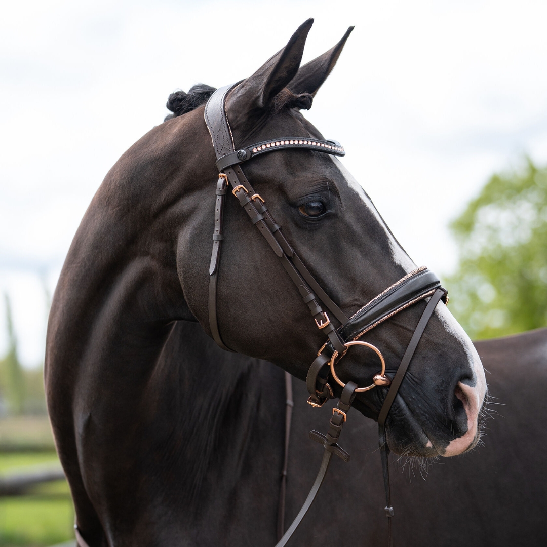 Uzda Sofia › Pure Equestrian