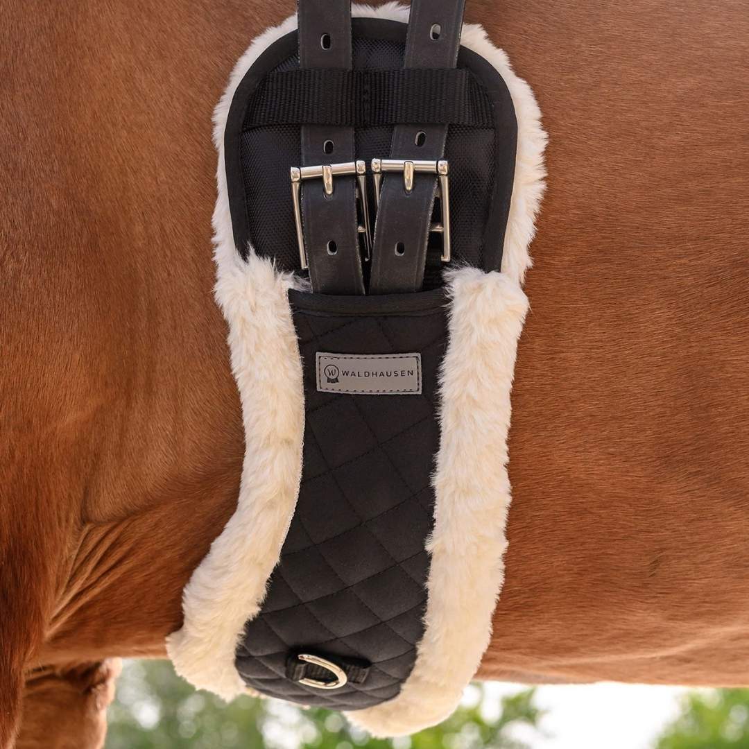 Dresurni kolan Moon Teddy › Pure Equestrian