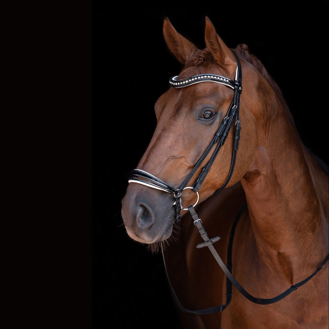 Uzda Carolin › Pure Equestrian