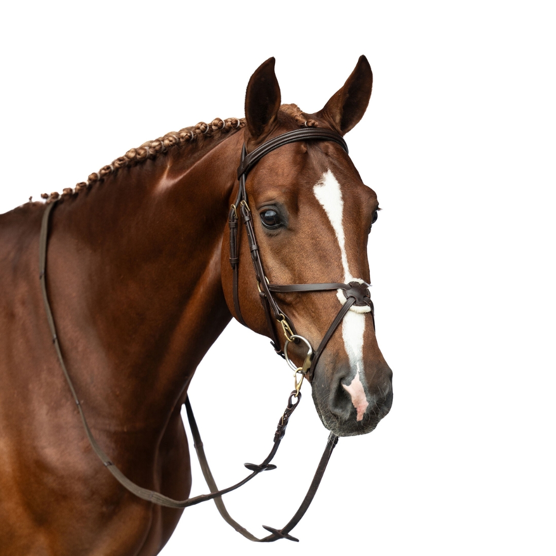 Uzda Mexican Style › Pure Equestrian