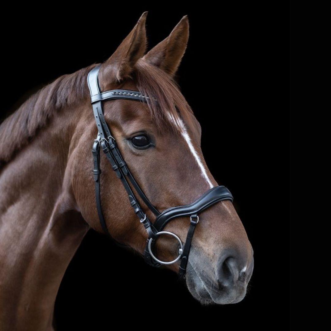 Uzda X-Line New Shape II › Pure Equestrian