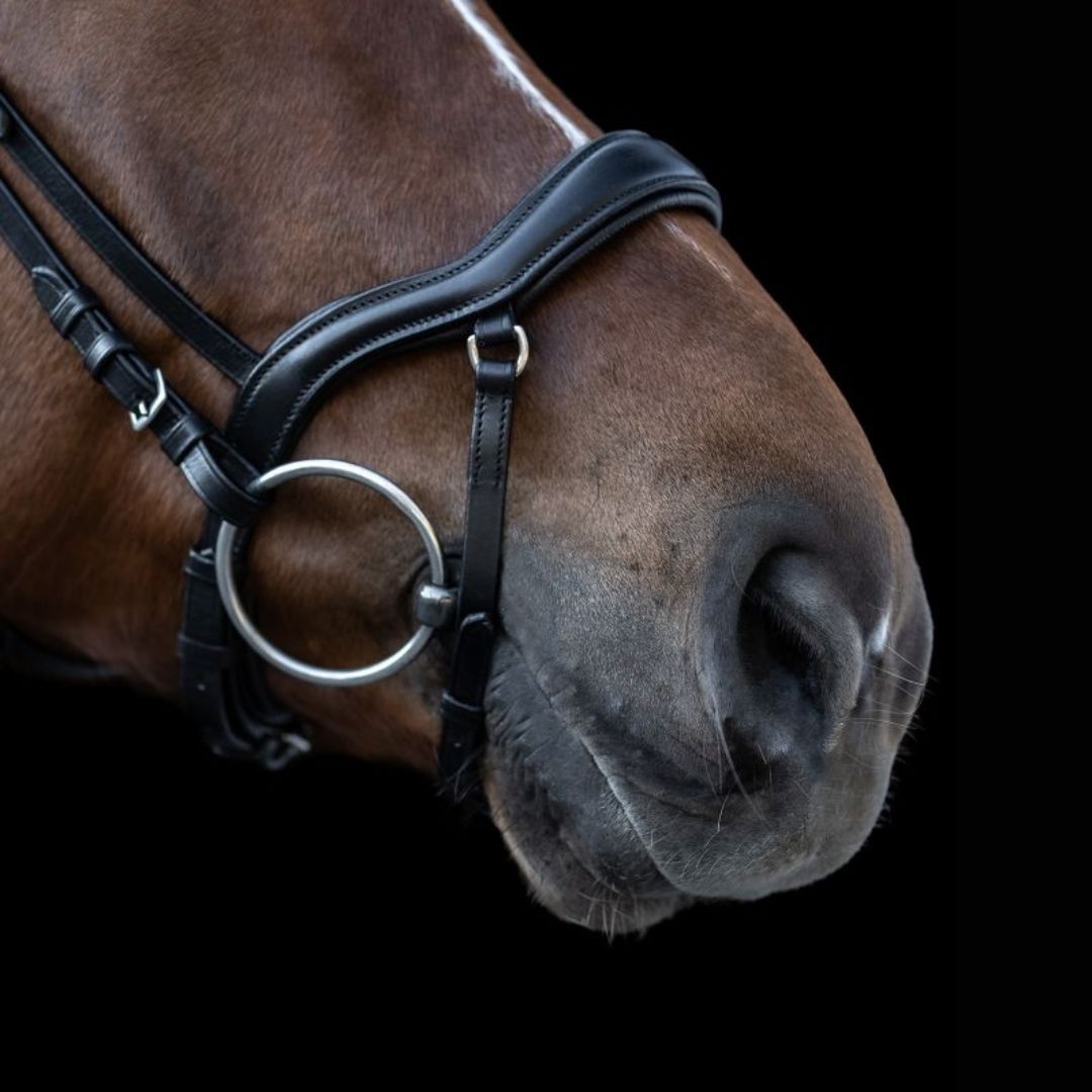 Uzda X-Line New Shape II › Pure Equestrian