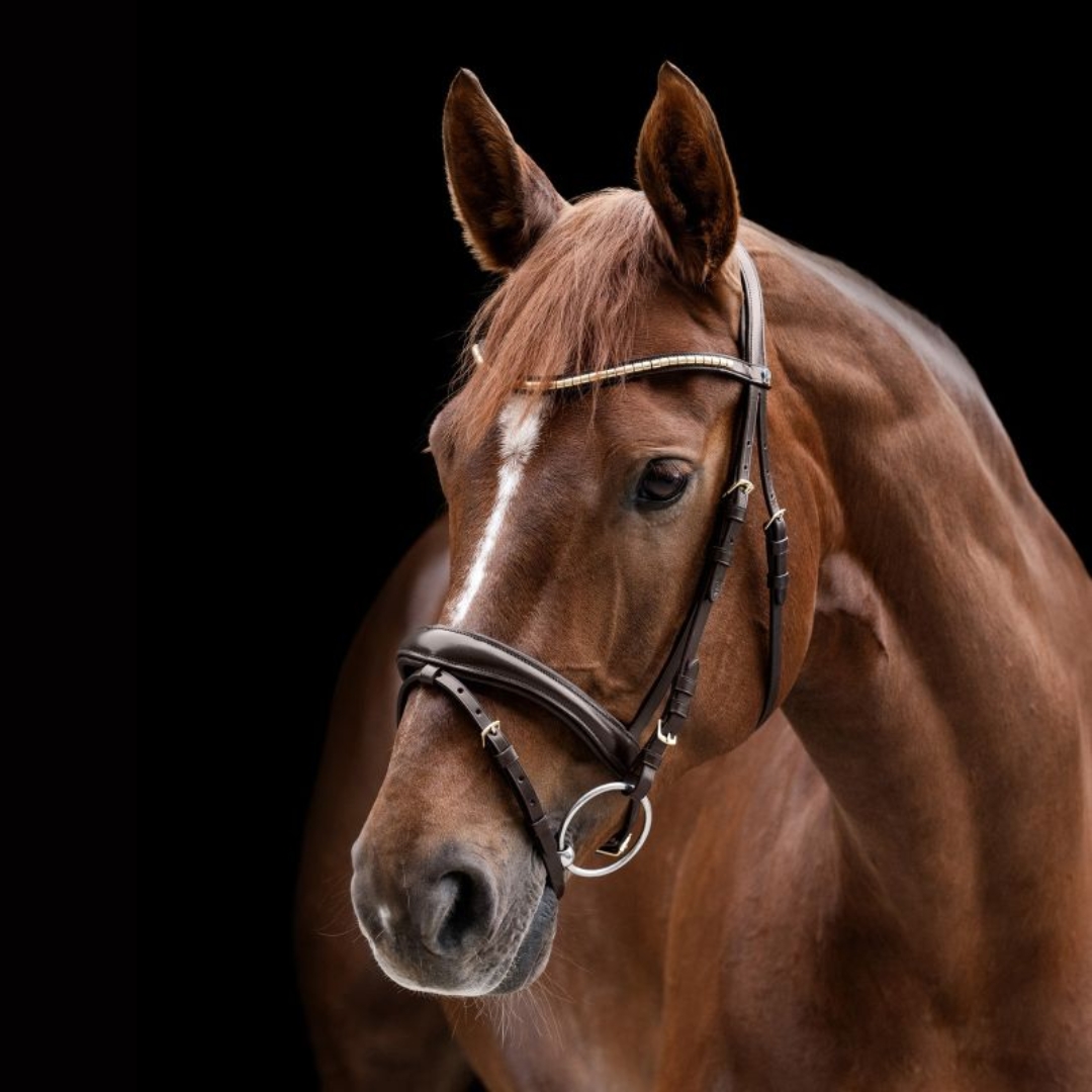 Uzda X-Line Clincher › Pure Equestrian