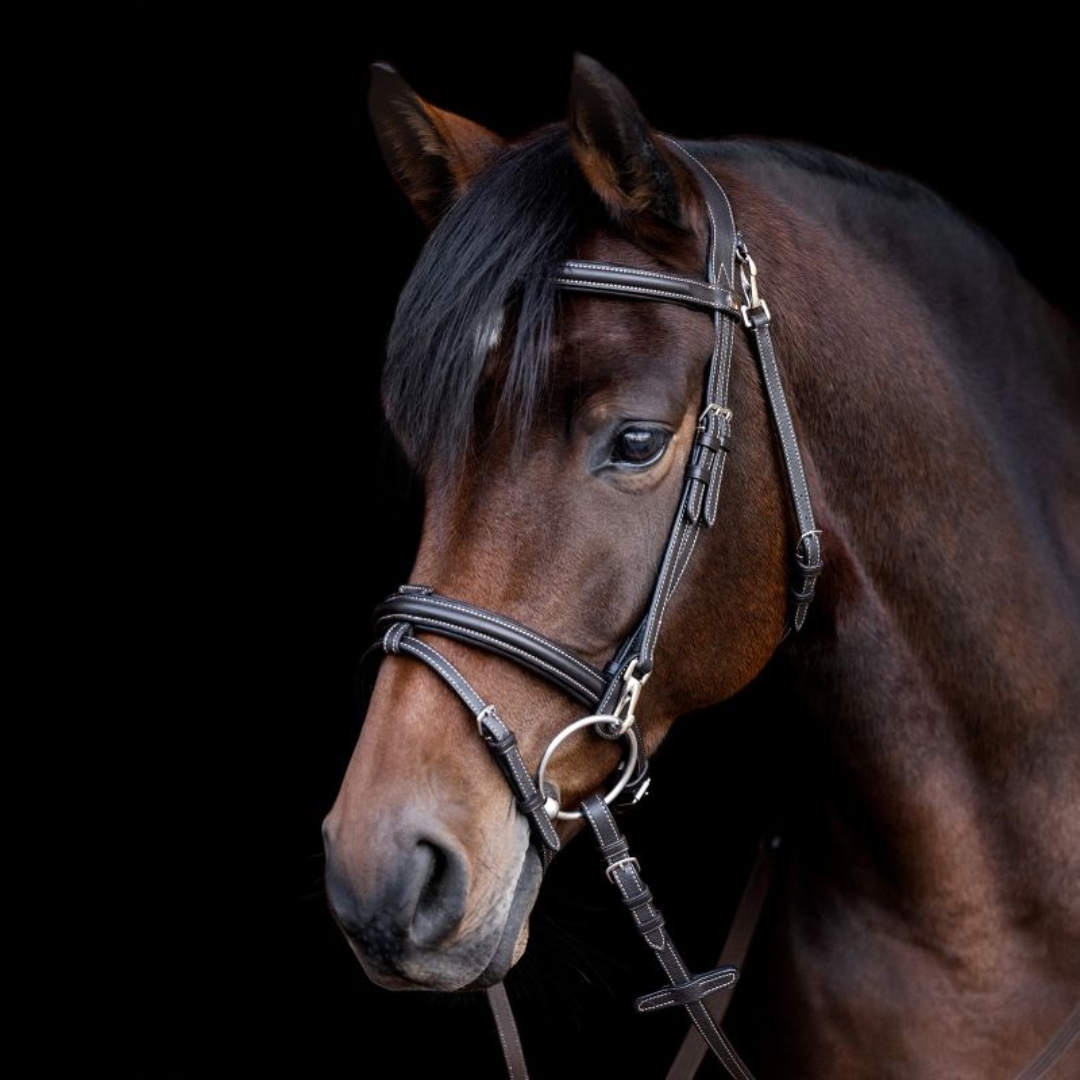 Uzda X-Line Work › Pure Equestrian