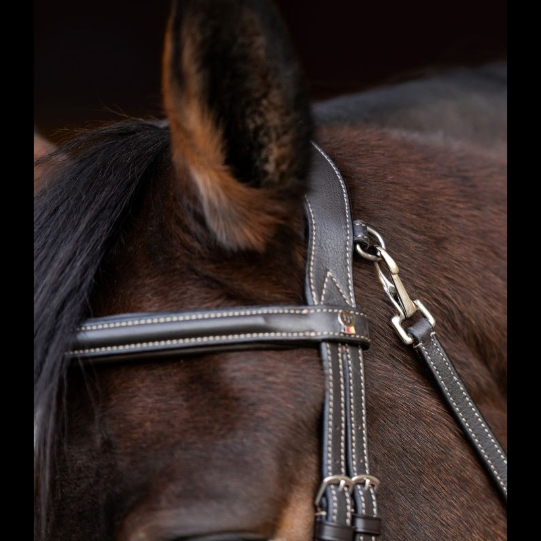 Uzda X-Line Work › Pure Equestrian