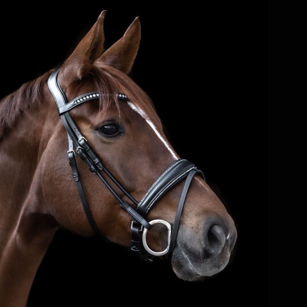 Uzda S-Line Glamour › Pure Equestrian