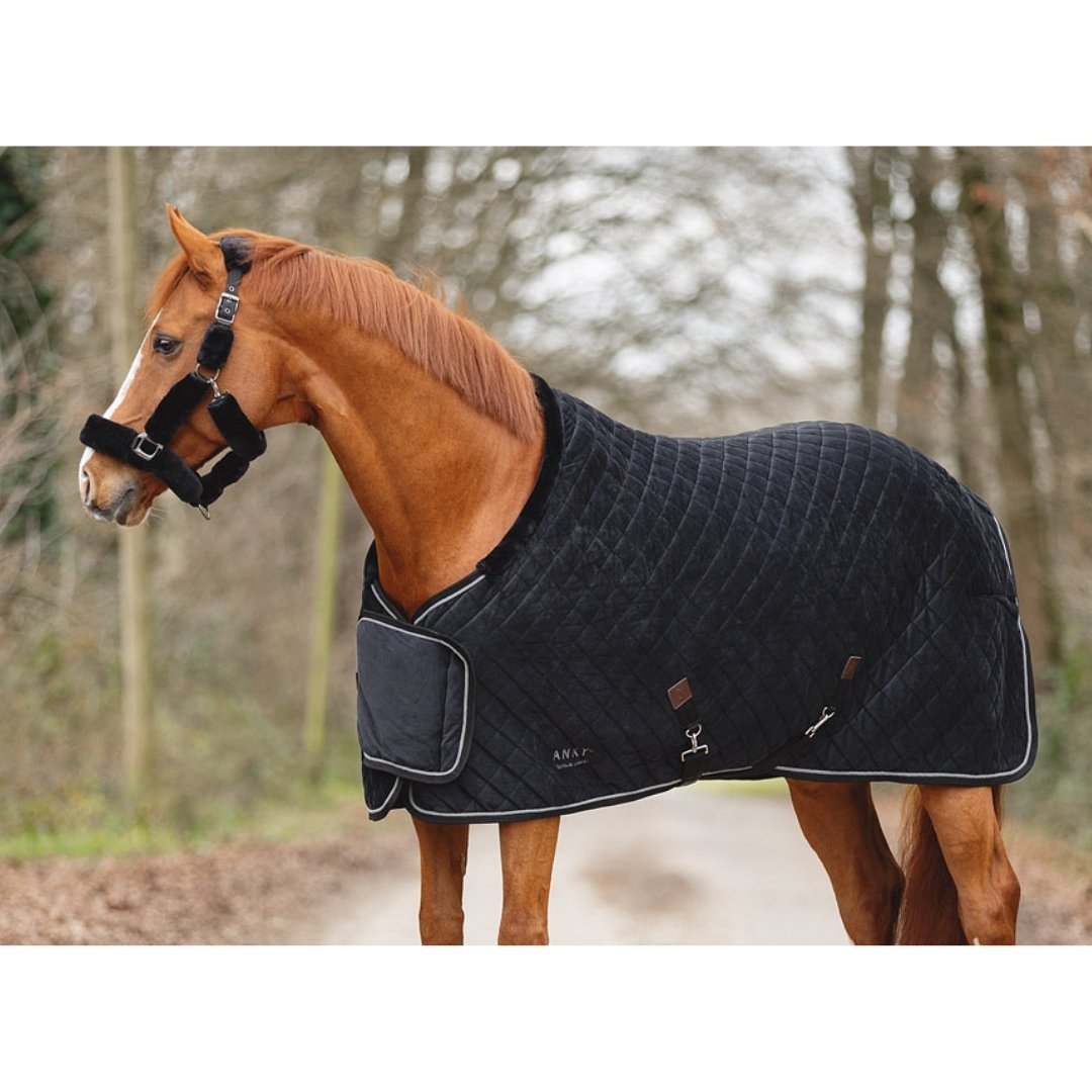 Show deka Anky Victory › Pure Equestrian